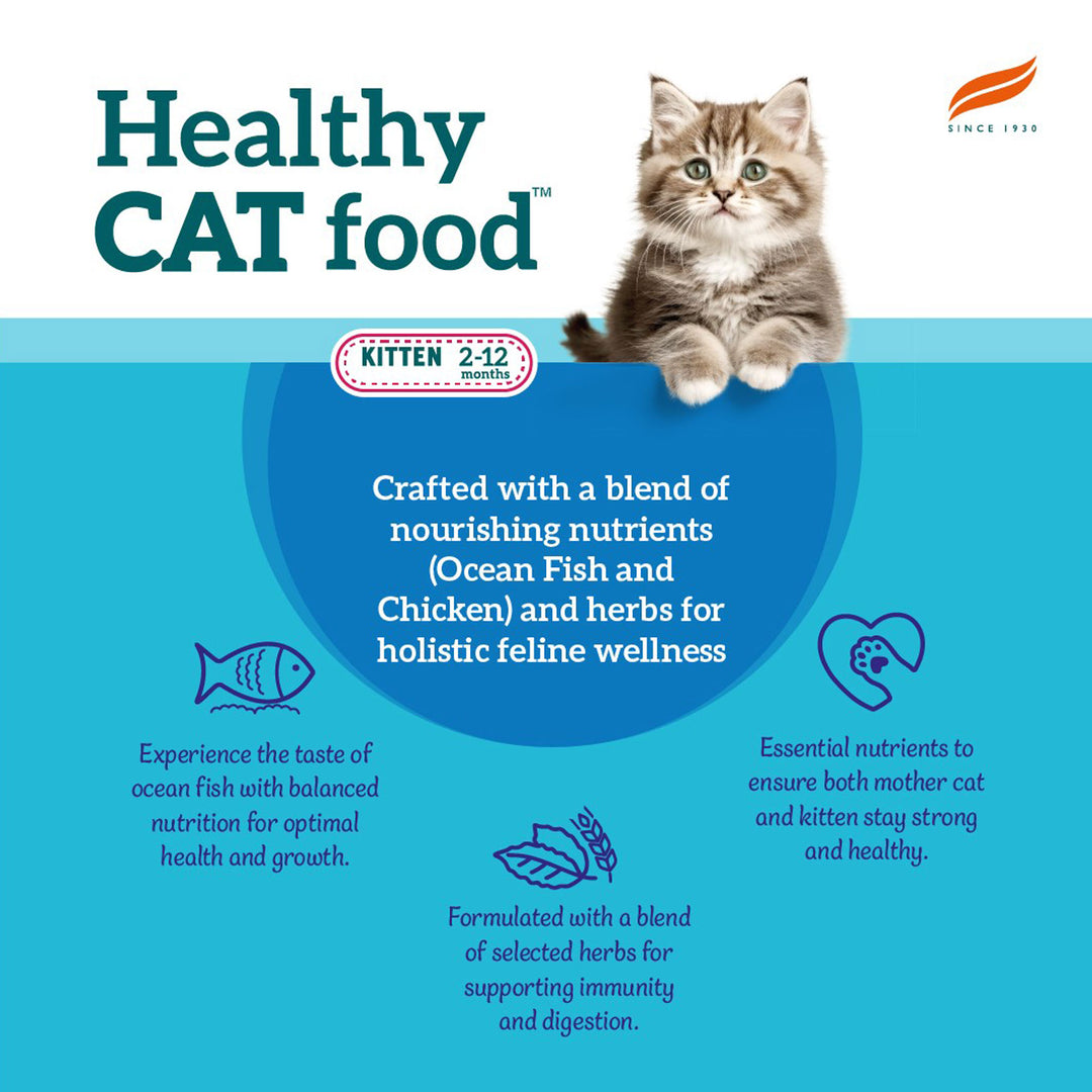 Himalaya Healthy CAT food Kitten – Ocean Fish and Chicken – Himalaya ...