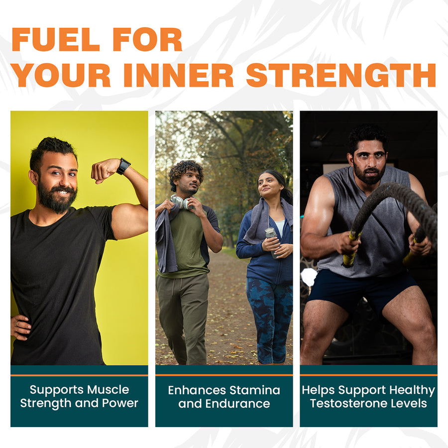 Buy Himalaya Shilajit Capsules - Enhances Stamina, Energy and Power ...