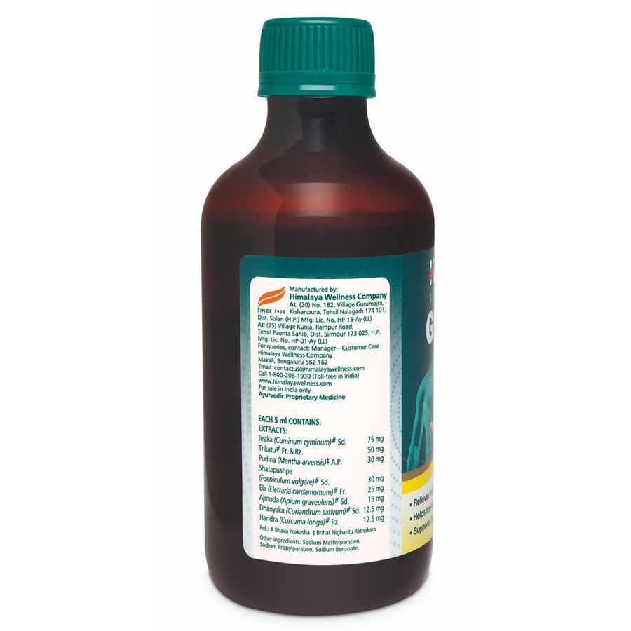 Himalaya Gasex Syrup – Himalaya Wellness (India)