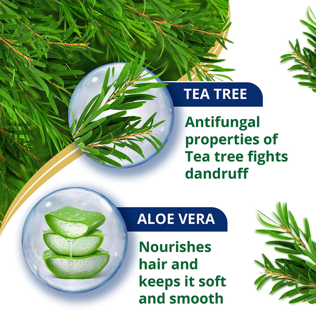 Buy Himalaya Anti-Dandruff Tea Tree Conditioner 80ml – Himalaya ...