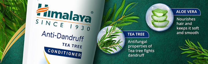 Buy Himalaya Anti-Dandruff Tea Tree Conditioner 80ml – Himalaya ...