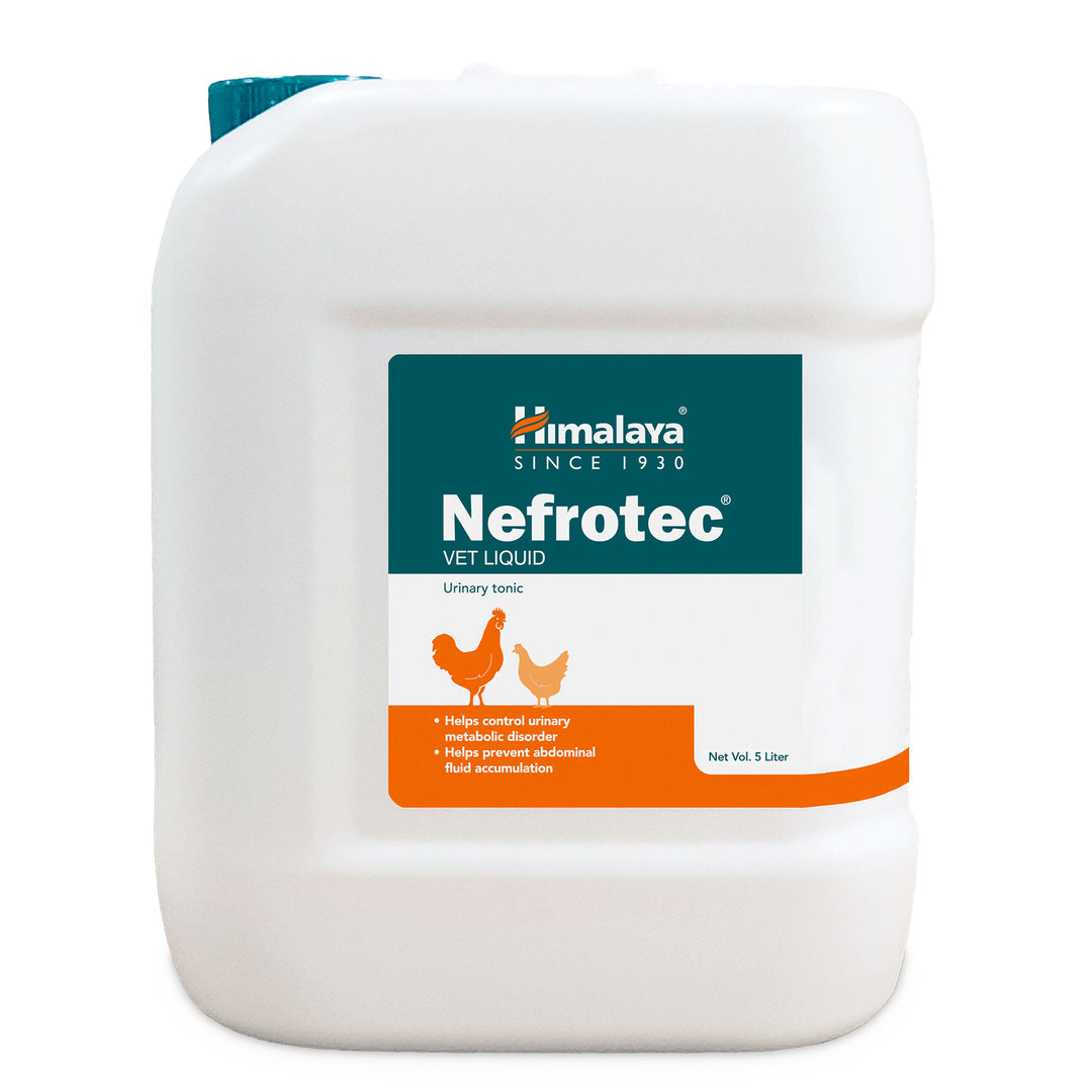 Himalaya Nefrotec Vet - Antilithic – Himalaya Wellness (India)