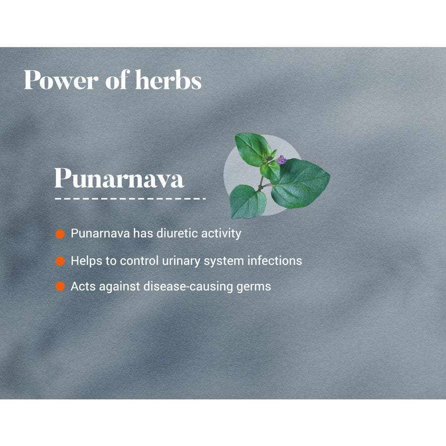 Himalaya Punarnava - Supports Urinary System – Himalaya Wellness (India)